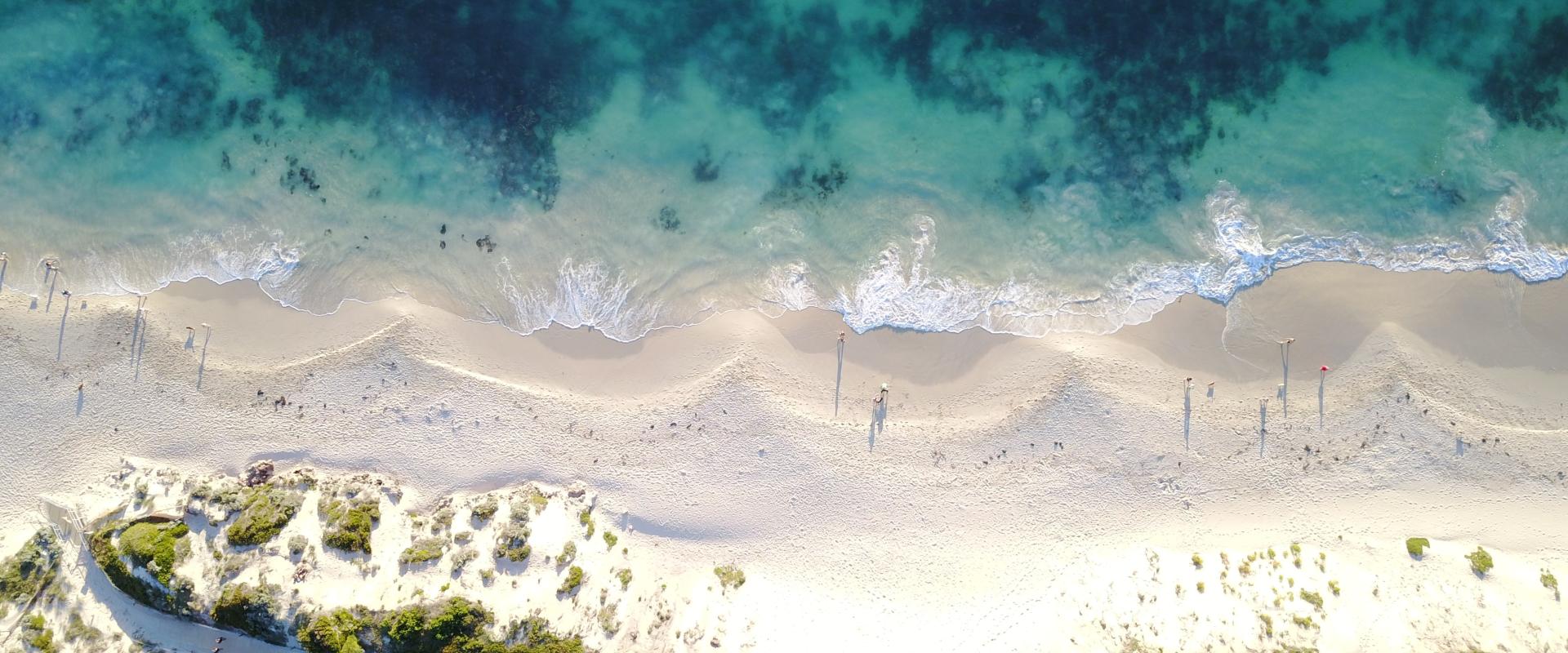 The Harvard Endowment revises their asset allocation annually. What ...